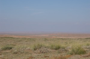 Gobi Gurvansaikhan National Park – Susan Fox, American Artist