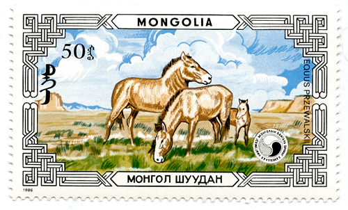 Mongolia Monday- Mongolian Postage Stamps, Part 4; Takhi And Khulan ...