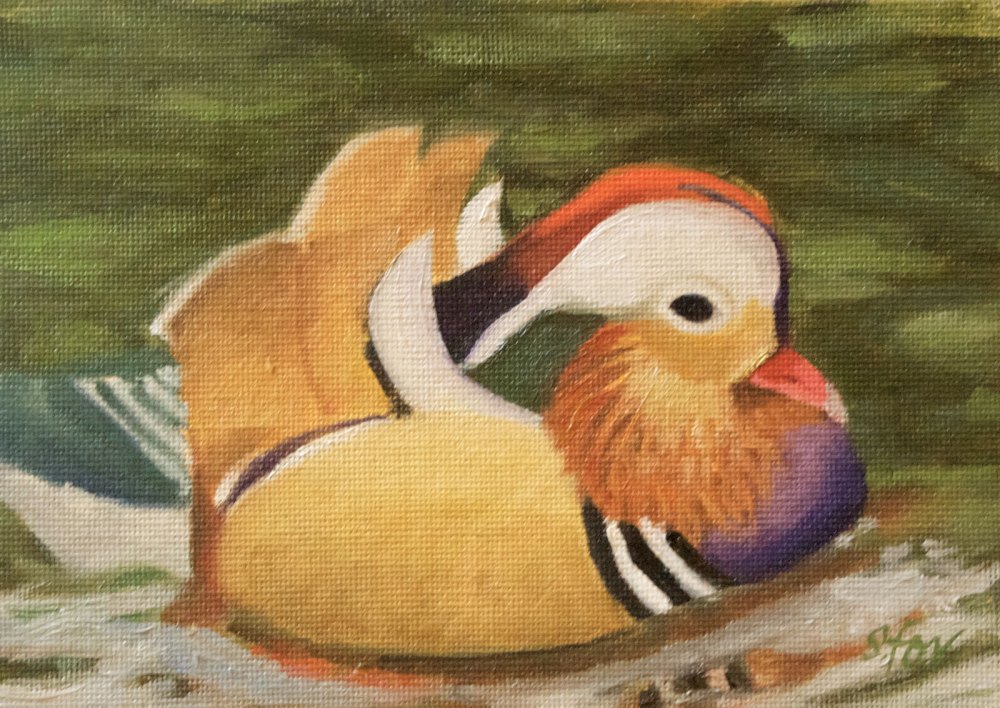 wildlife painting – Susan Fox, American Artist