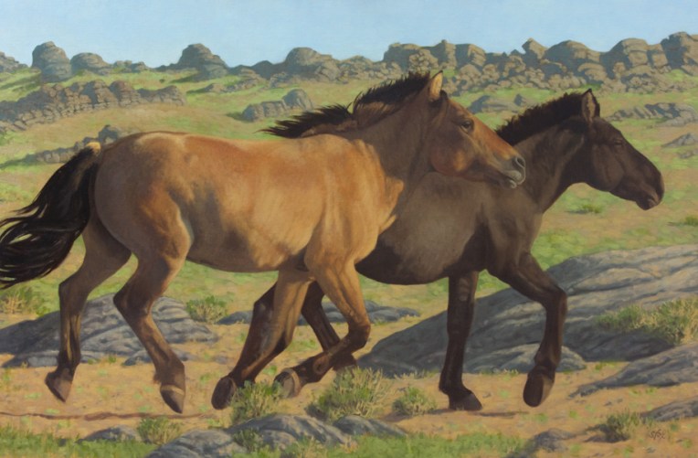 Paintings- Mongolia – Susan Fox, American Artist