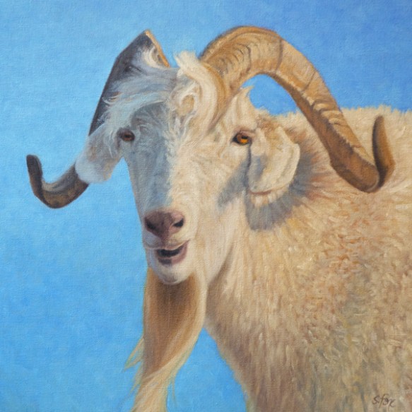 New Painting Debut! “Cashmere Goat, Mongolia” And A Workshop ...