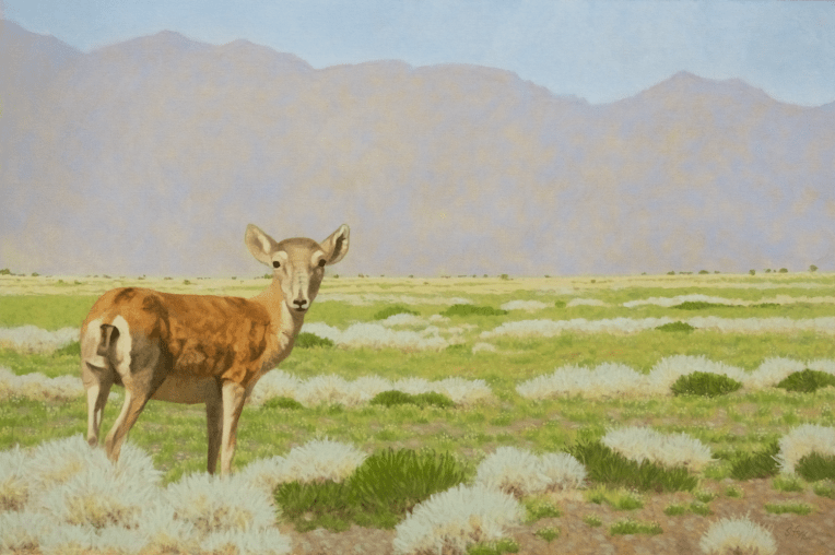 Paintings- Mongolia – Susan Fox, American Artist