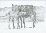 horse painting – Susan Fox, American Artist